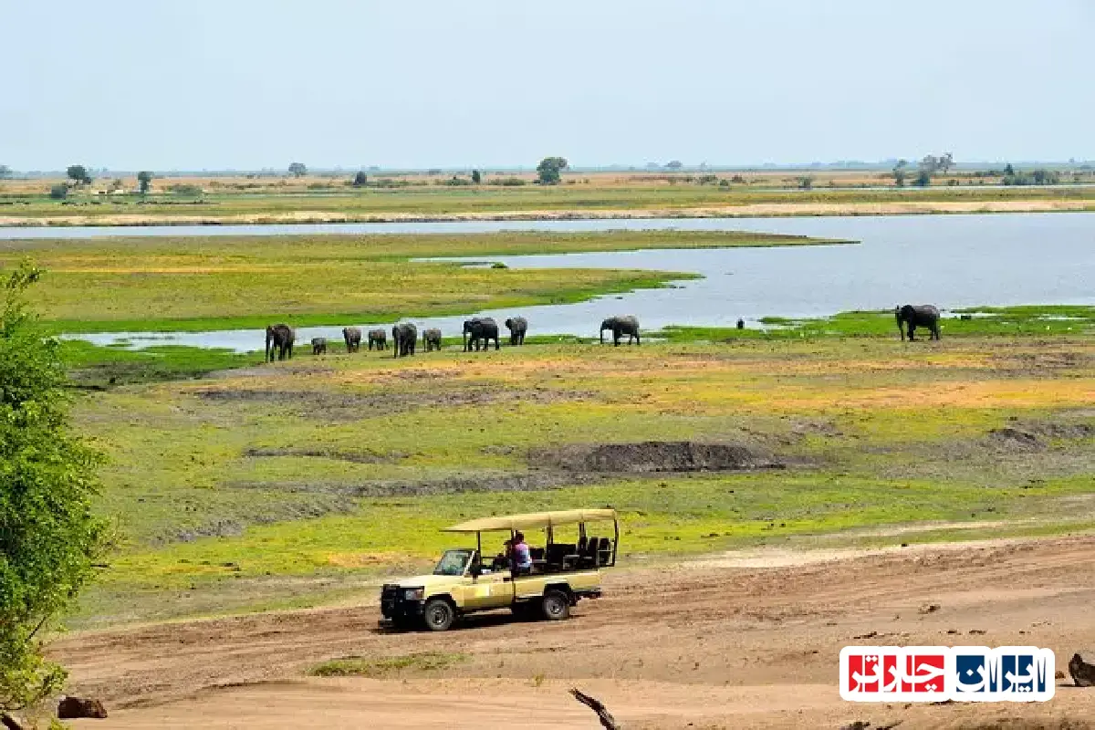 Chobe National Park Kasane: Ultimate Safari Experience in Botswana ...