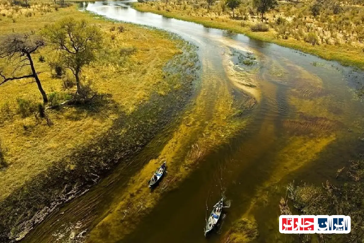 Okavango Delta Ngamiland: Ultimate Safari Experience in Botswana ...